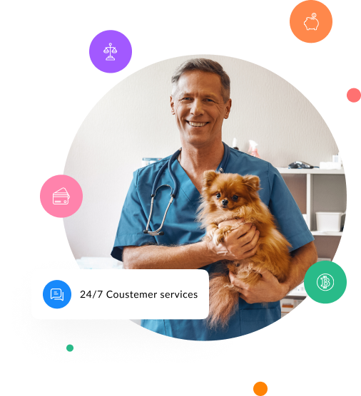 Video consultation from vet