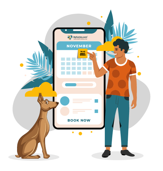 Book Online Vet Consultation for ₹149 | Expert Video Call Service for Pets