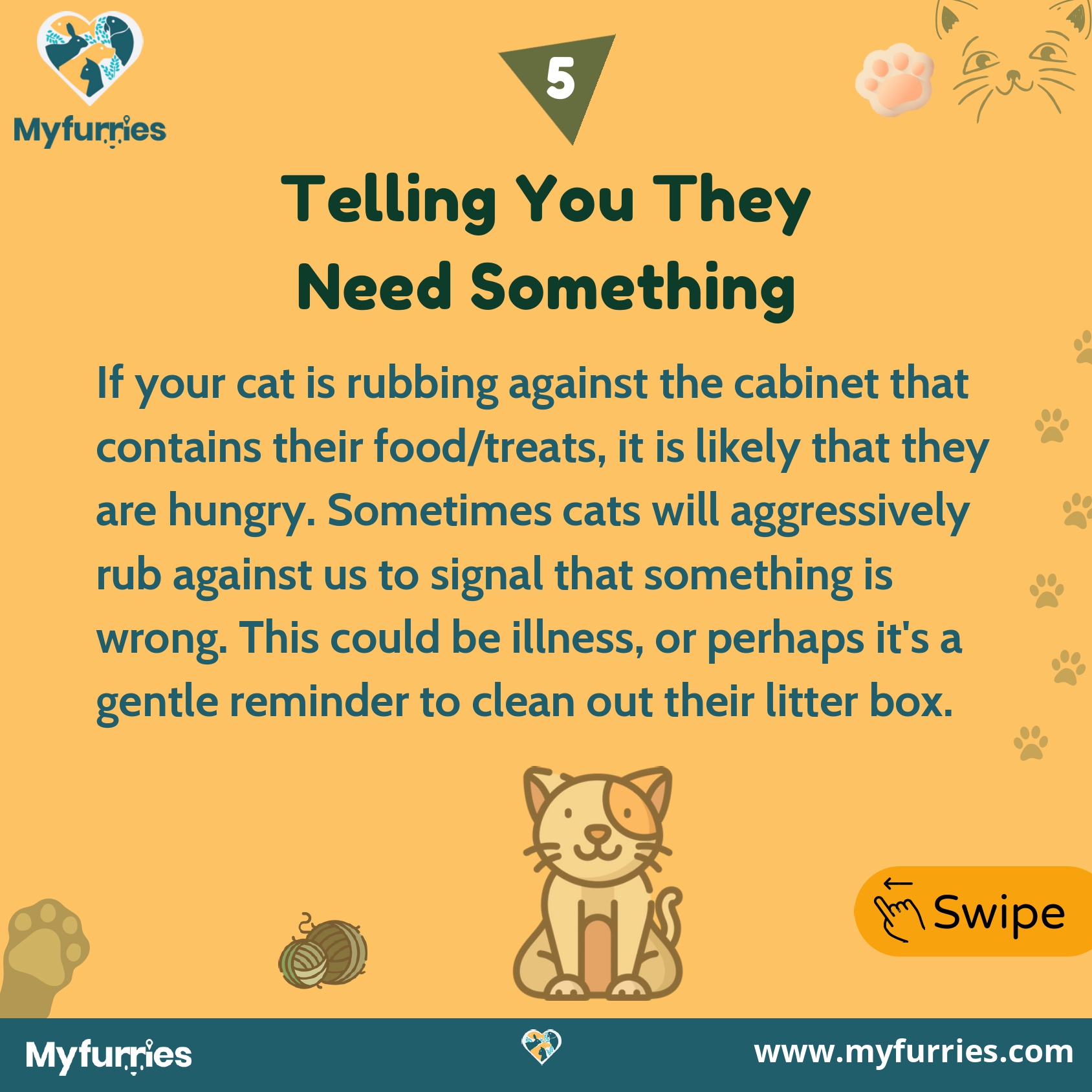 Cats Rubbing Against You: Understanding Behavior - MyFurries Blog