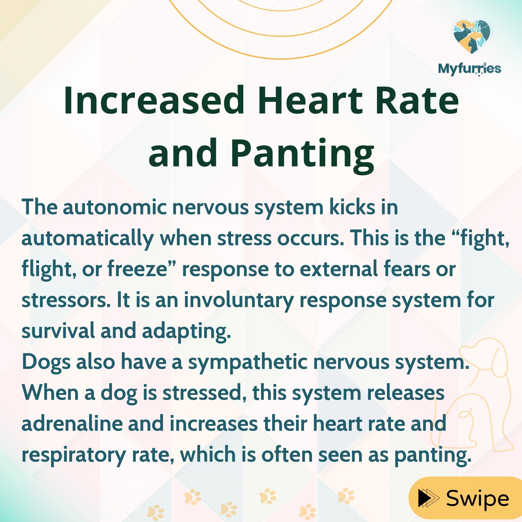 Dog Stress: Understanding Your Pet's Distress - MyFurries Blog