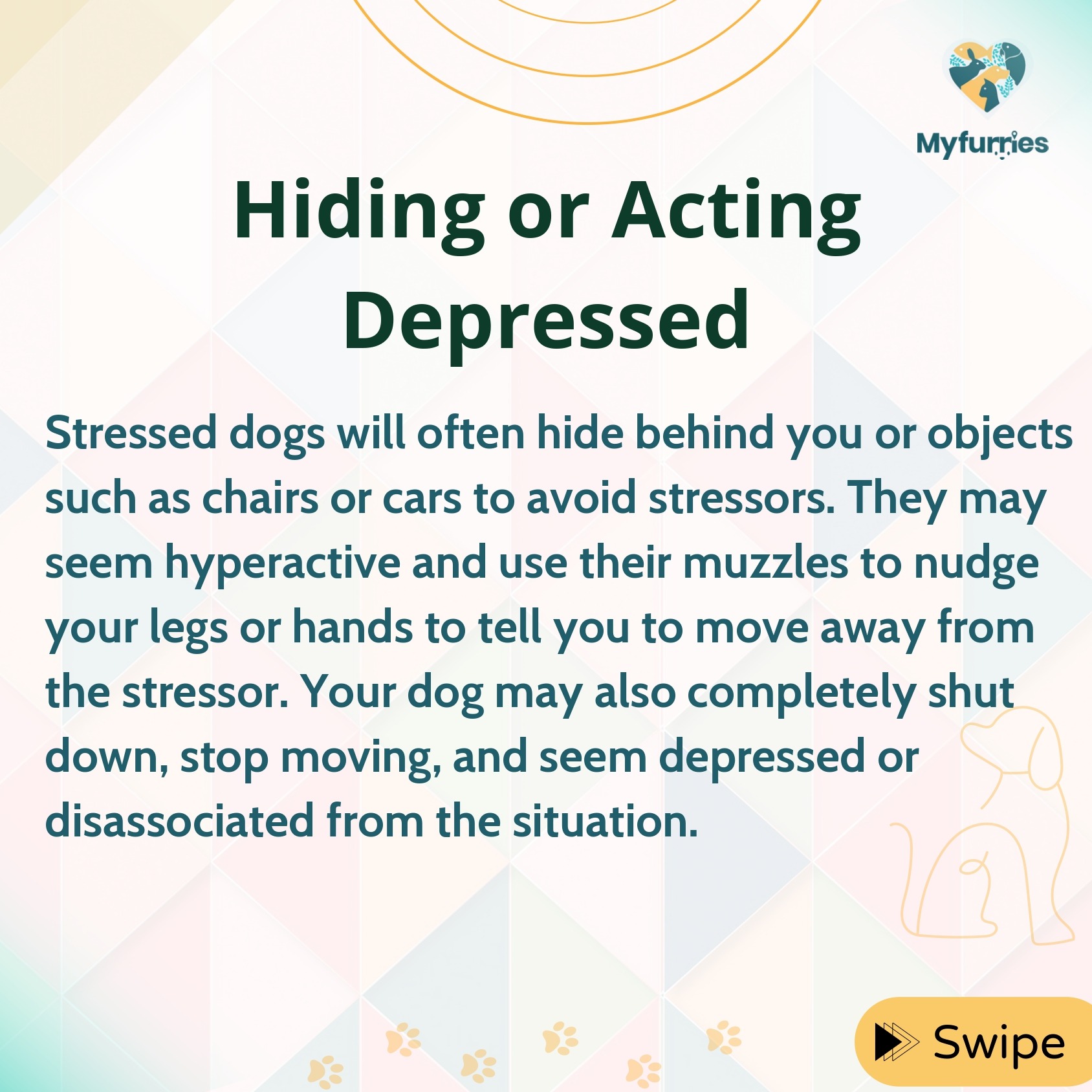 Dog Stress: Understanding Your Pet's Distress - MyFurries Blog