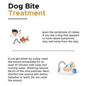 Dog Bites: Understanding the Risks Involved - MyFurries Blog