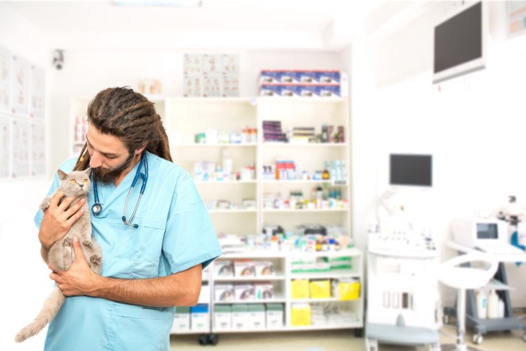 Best field in Veterinary Sciences 2023 and why? - MyFurries Blog