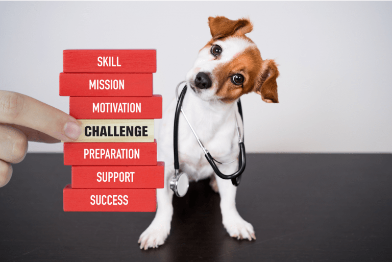 Key Challenges in the Veterinary Profession 2023 - MyFurries Blog