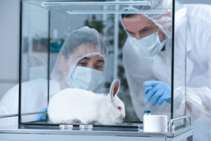 10 Common Pet Rabbit Diseases, illnesses, and Emergencies - MyFurries Blog
