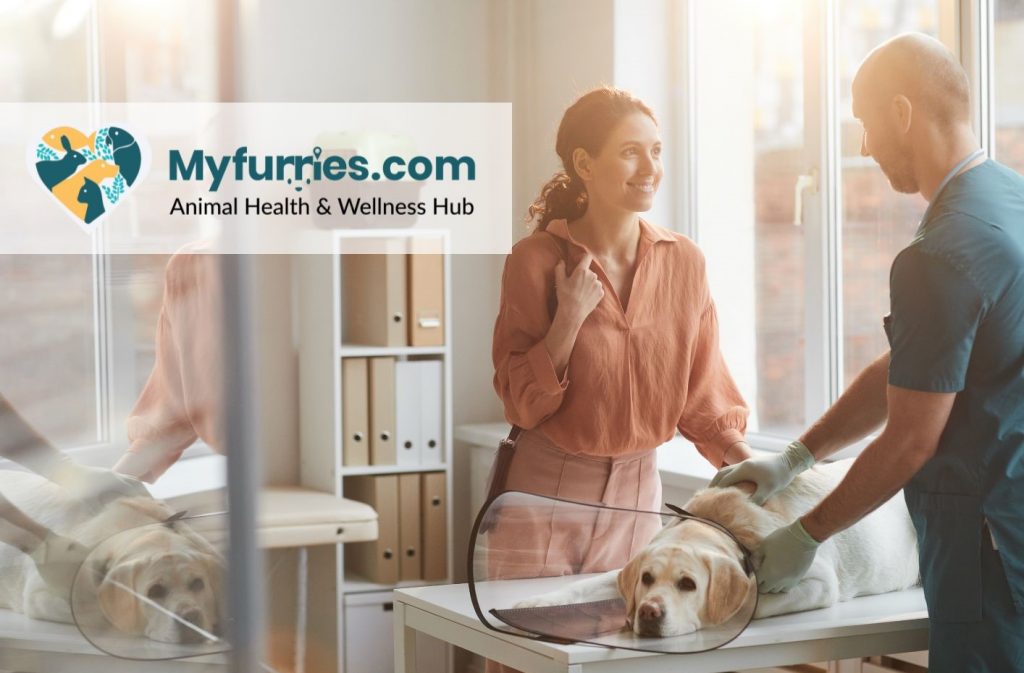 The Single Owner Veterinary Practice: Building a Sustainable and ...