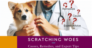 Why Is My Dog Scratching Constantly? Causes, Remedies, and Expert Tips - MyFurries Blog