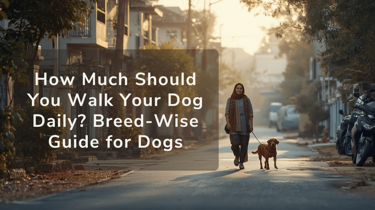 How Much Should You Walk Your Dog Daily? Breed-Wise Guide for Dogs ...